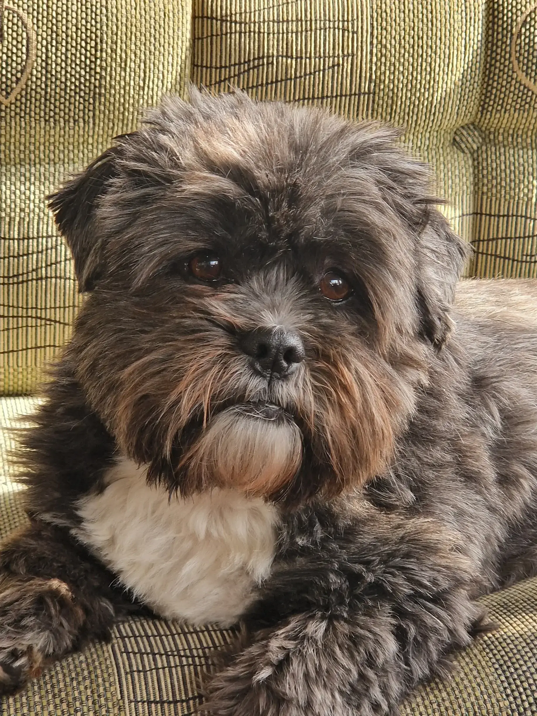 Crumb - The Network Protecting 1,000,000+ Pets | Crumb.