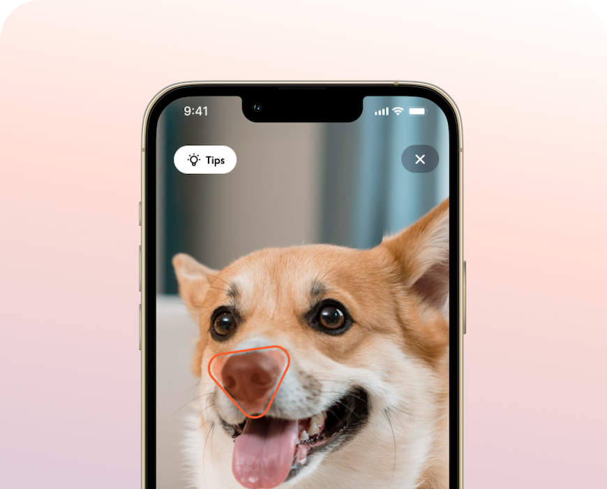 Crumb - The Network Protecting 1,000,000+ Pets | Crumb.