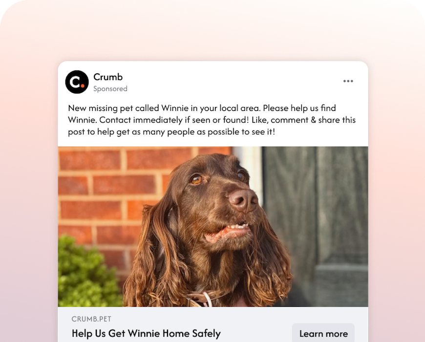 Crumb - The Network Protecting 1,000,000+ Pets | Crumb.