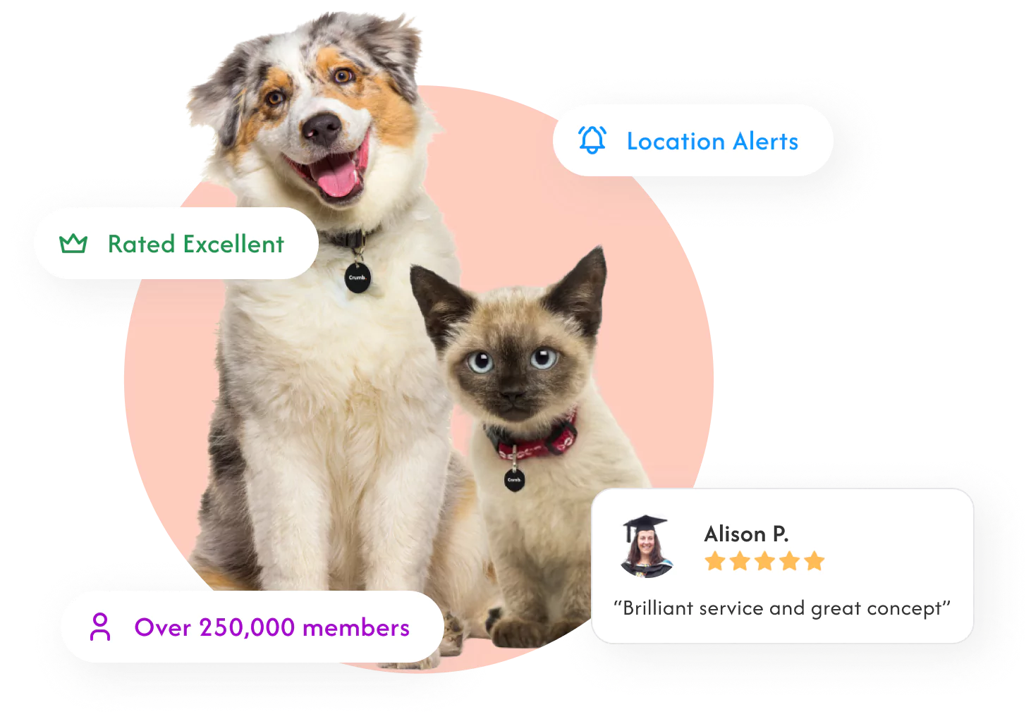 Order a Tag | Crumb.