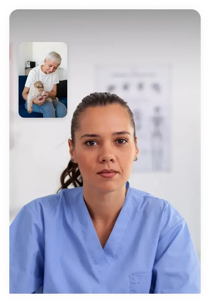 Unlimited 24/7 Vet Access | Crumb.